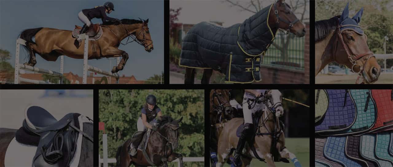 Main Equestrian Brands vs. DTC Startups: 2026 Sourcing War - Zest ...